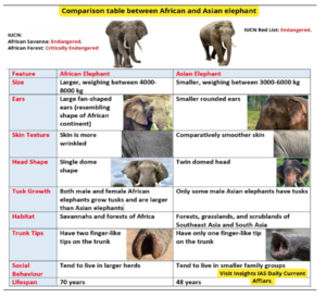 Project Elephant: Powerful Efforts to Save India’s Heritage